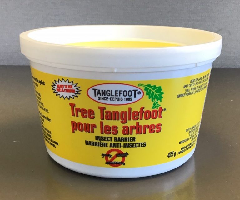 Tanglefoot Insect Barrier – 425 Gram Tub – QuickGrow Systems Ltd.